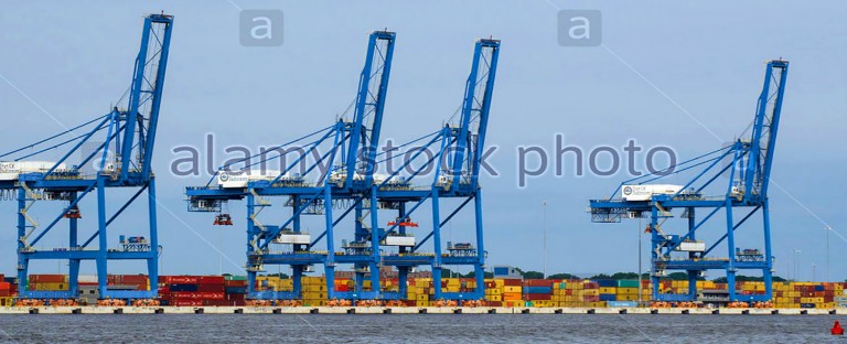 Port_Baltimore | Thunderbolt Global Logistics LLC